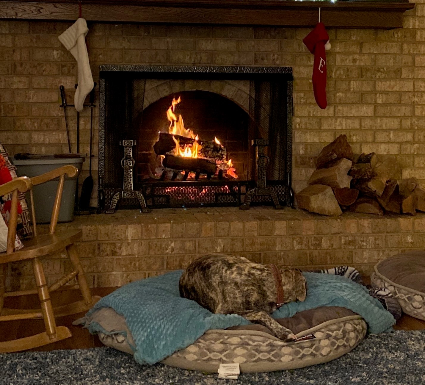 The Best Wood to Burn - Burn This Firewood